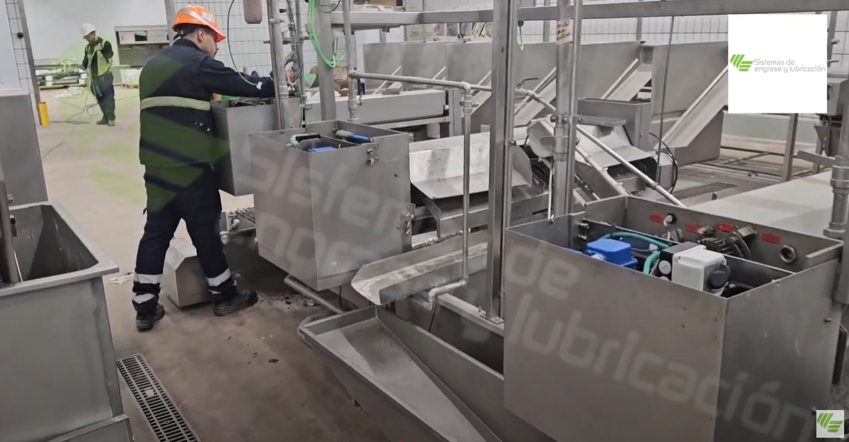 MONTAJE SISTEMA ENGRASE RAASM EN SECTOR ALIMENTARIO